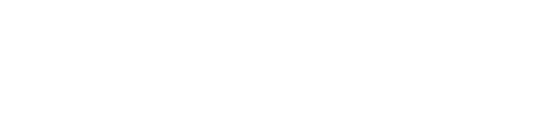 Lesonal vs. Wanda vs. Diamont — Which Automotive Toner Is Right for You ...